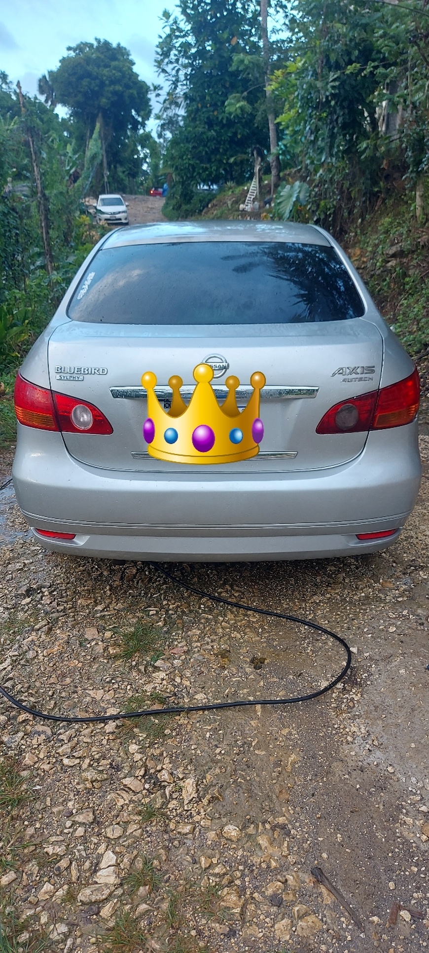 Bluebird Sylphy prices - sell, buy, ads on Jacars.net