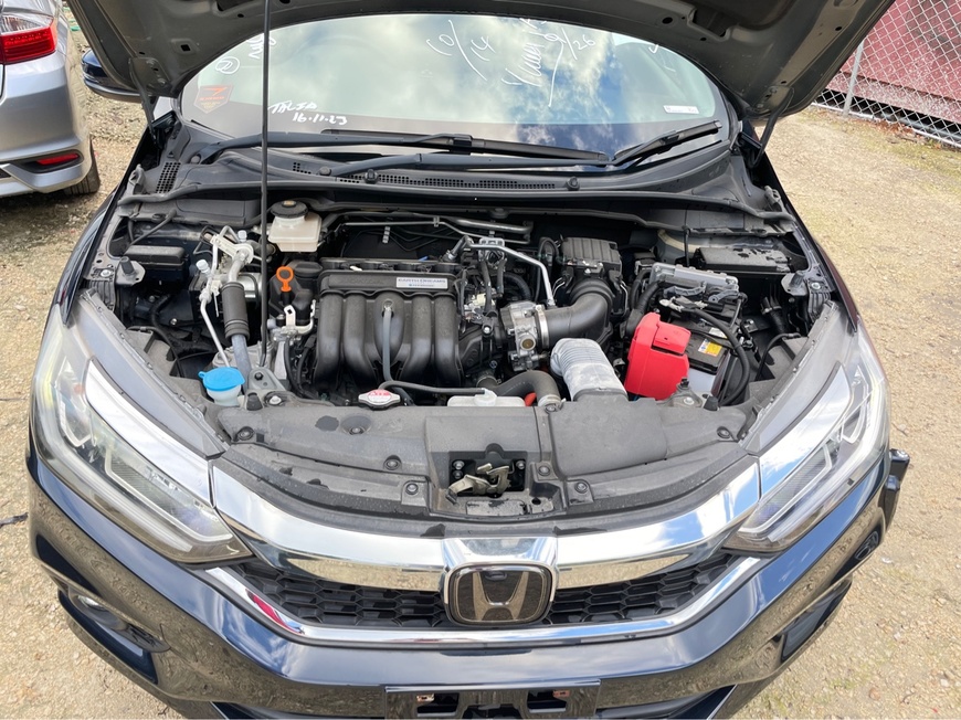 Grace prices - sell, buy, ads on Jacars.net