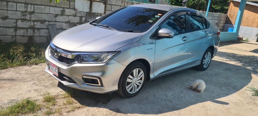 Grace prices - sell, buy, ads on Jacars.net